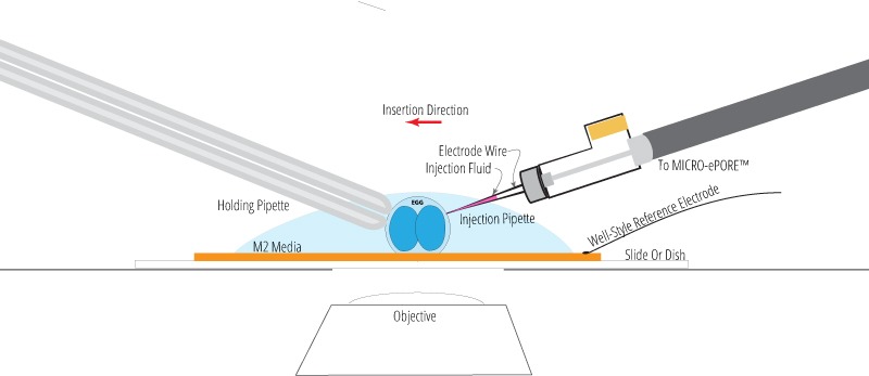 WPI MICRO-ePORE - 세포전기천공기(대표상품코드 MICRO-ePORE)